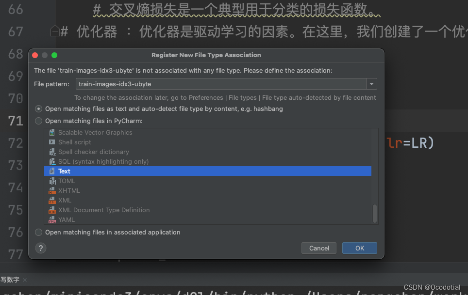 MNIST数据集在Pycharm上读取失败-pytorch入门-问题一_pycharm mnist数据集-CSDN博客