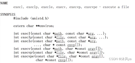 进程替换,exec系列函数(介绍+可以执行其他语言),execle中的envp函数,execve系统调用,加载器_python 执行进程替换当前-CSDN博客