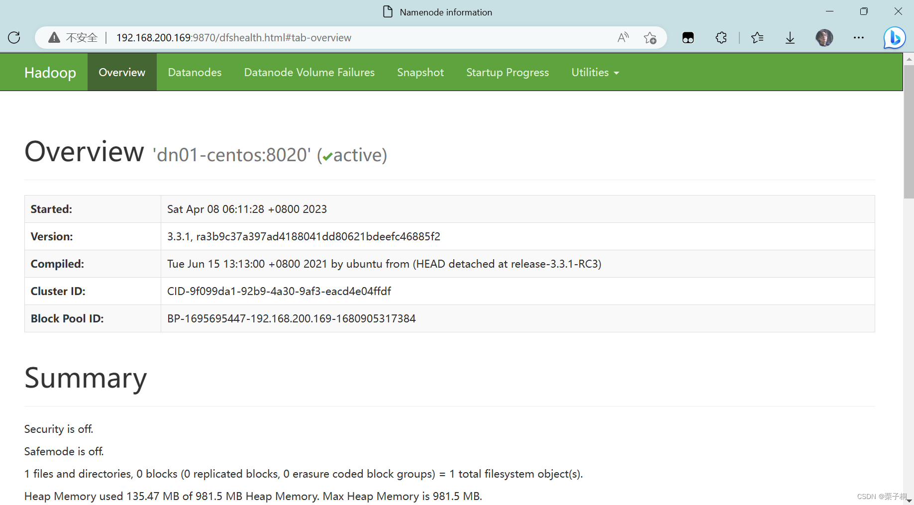 创建hadoop单机模式(新手专用 超详细!)hadoop单机模式搭建栗子桐的博客 Csdn博客