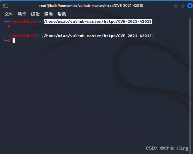 Apache HTTP Server 路径穿越漏洞_apache httd server-status信息泄露-CSDN博客