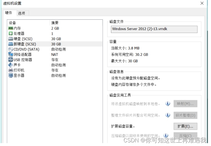 2022年全国职业技能大赛-网络系统管理：Windows Server&RAID 1 阵列搭建（中文版）_win10 raid1-CSDN博客