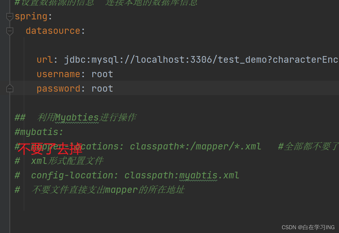 Springboot Mybatis的整合springoobt Myabits Mapper Csdn博客