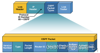 ospf知识点总结_ospf进程-CSDN博客