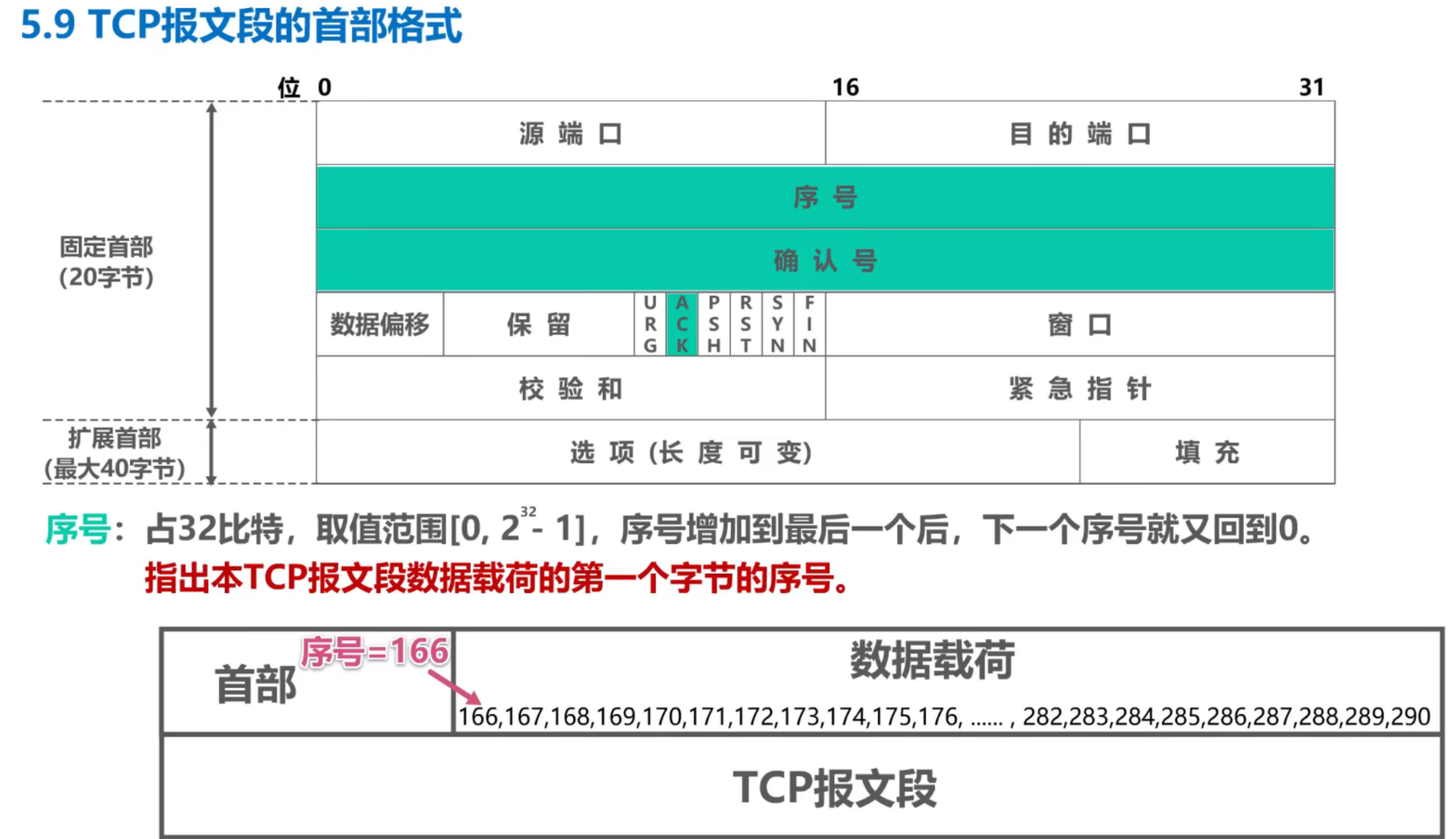 TCP报文段的首部格式-CSDN博客
