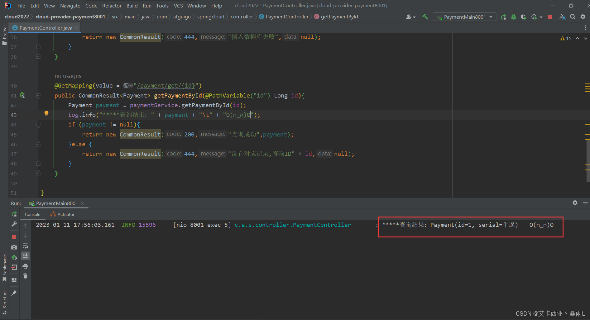 【SpringCloud03】订单-支付微服务模块（热部署Devtools）_微服务的模块加devtools热部署-CSDN博客