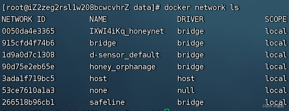 ifconfig/docker删除虚拟网卡_ifconfig删除虚拟网卡-CSDN博客