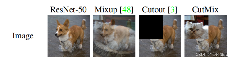 论文解读《Bidirectional Copy-Paste for Semi-Supervised Medical Image Segmentation》-CSDN博客