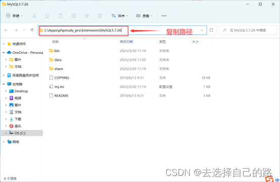 win11安装PHPstudy(小皮)_小皮终端-CSDN博客