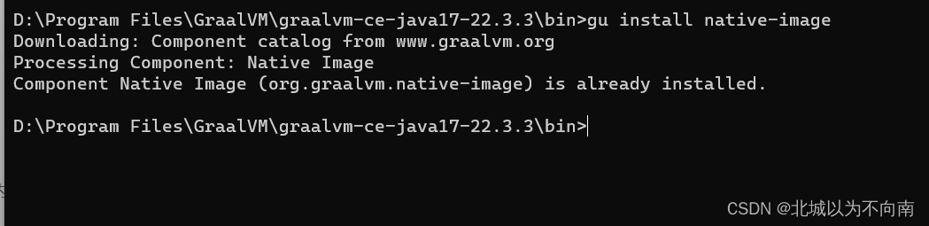 windows11 Graalvm AOT预编译 java文件_java graalvm aot编译-CSDN博客