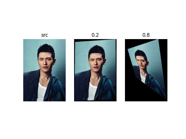 11、随机视角变化 transforms.RandomPerspective()-CSDN博客