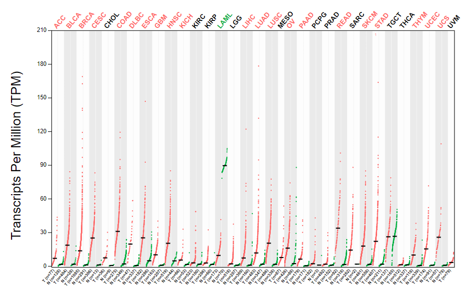 分享分析TCGA的数据库——GEPIA（一）_gepia数据库-CSDN博客
