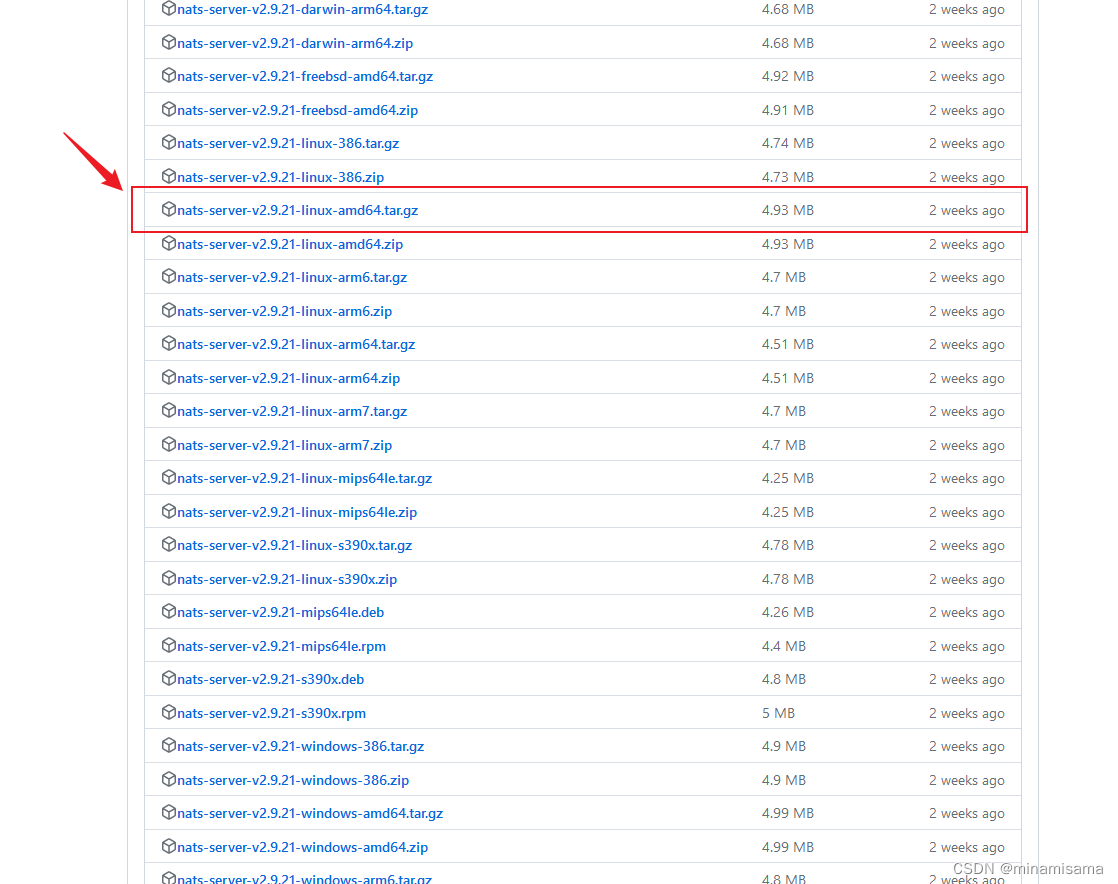 Nats集群部署_nats 启动配置-CSDN博客