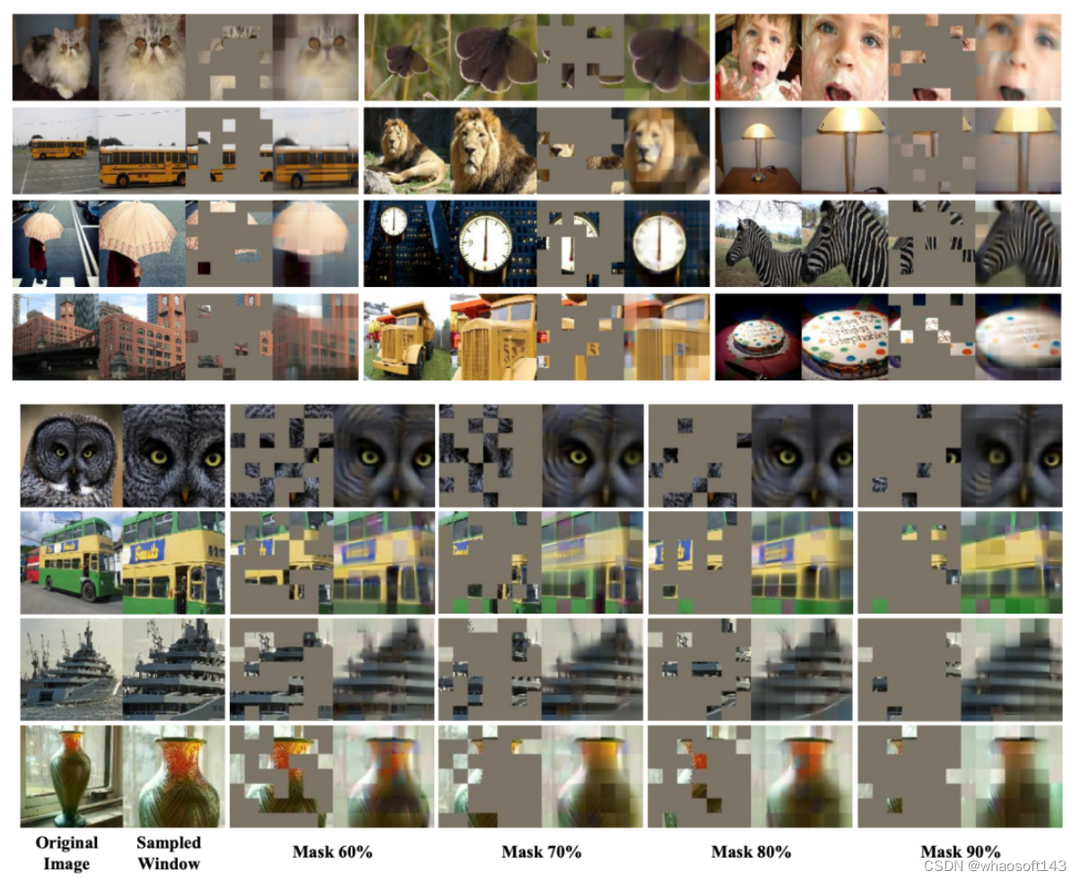 LoMaR_loma level 1 csdn-CSDN博客