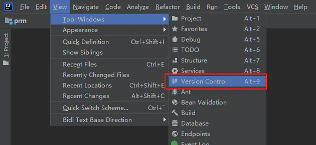 idea显示 version control窗口_idea version control-CSDN博客