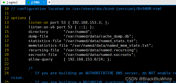 Centos7搭建DNS（bind）服务器，配置域名泛解析记录_centos7配置域名结果图-CSDN博客