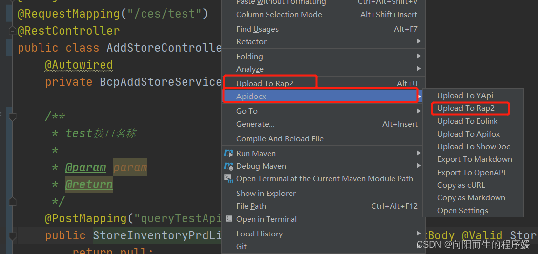 【自动生成】使用IDEA的Apidocx插件在rap生成接口文档-CSDN博客