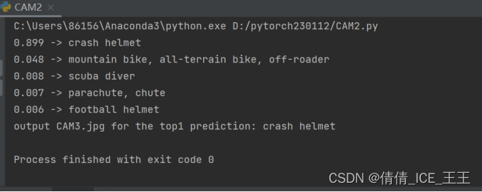 基于pytorch的CAM代码单张图片实战（超详细版，修改部分已经详细标出）_cam图代码-CSDN博客