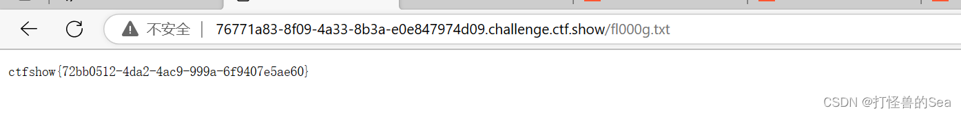 CTF-Web6（解压源码到当前目录，测试正常，收工）_如何解压源码到当前目录-CSDN博客