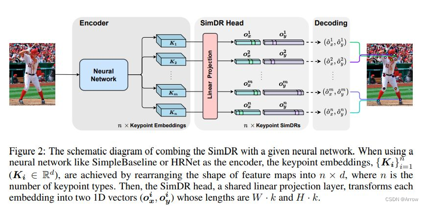 MMPose理解-CSDN博客