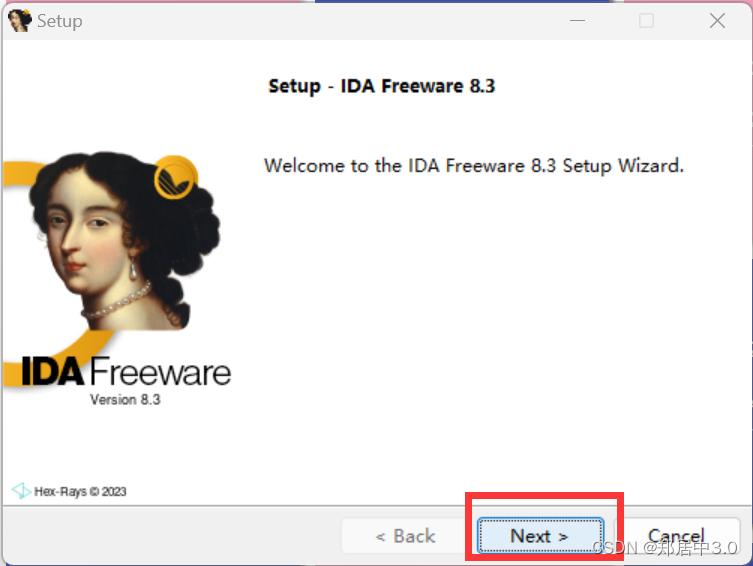 IDA下载过程_ida home下载教程-CSDN博客