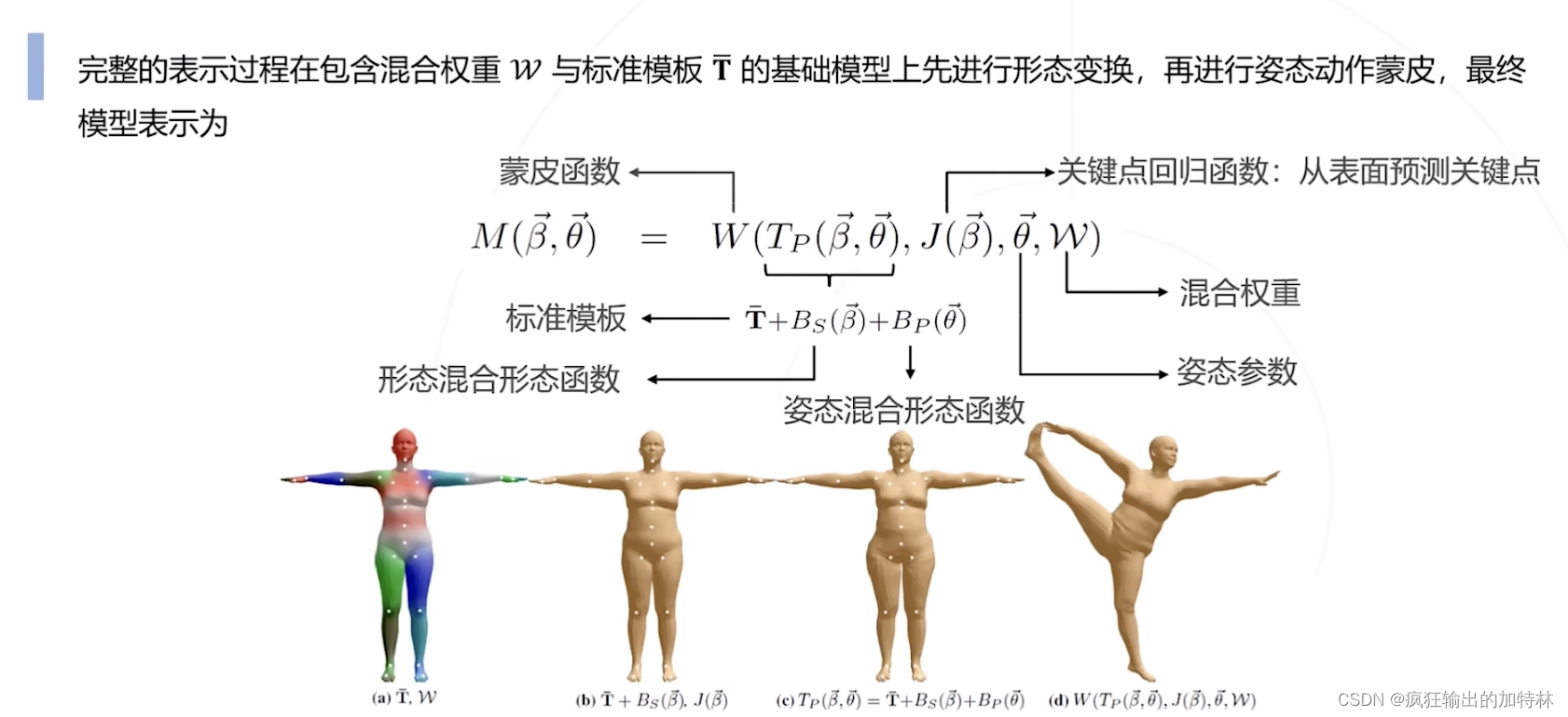 OpenMMLab AI实战营第二期｜人体关键点检测与MMPose学习笔记_smpl 人体关键点-CSDN博客
