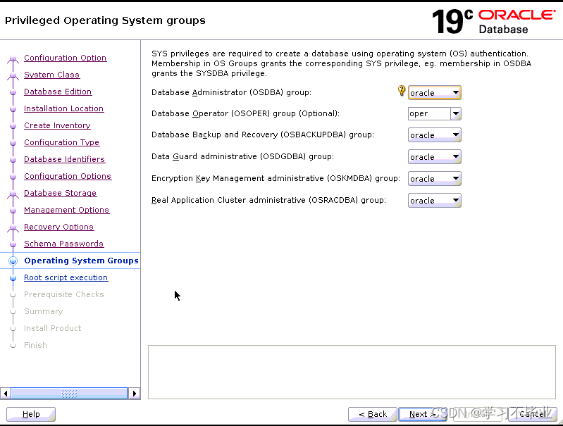 一文教你在 centos7 下安装 Oracle19 C(完整版)_centos7安装oracle19c-CSDN博客