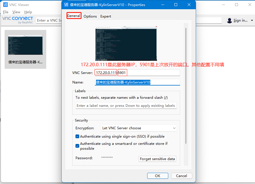 KylinServerV10上配置VNC服务并使用_kylin vnc-CSDN博客