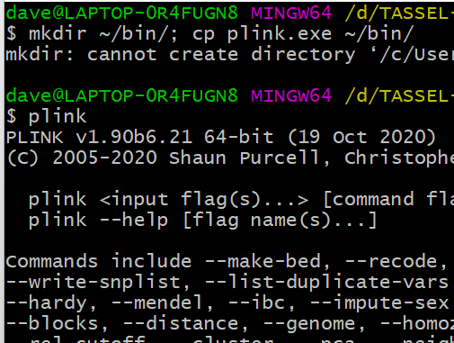如何运行plink软件--三种方法-CSDN博客