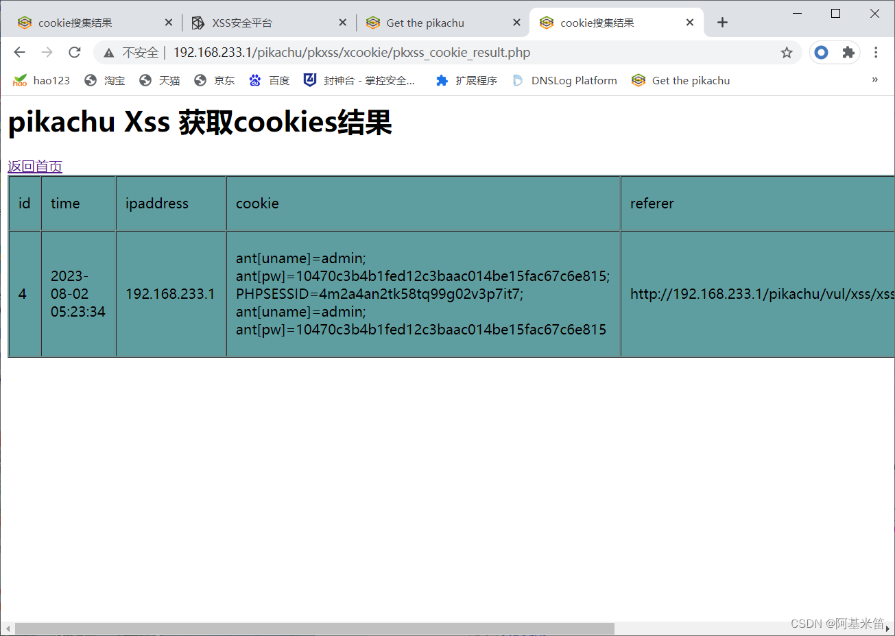 pikachu靶场通关详解_pikachu通关教程-CSDN博客