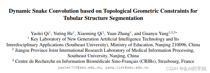 YOLOv8改进：卷积变体系列篇 | 动态蛇形卷积（Dynamic Snake Convolution） | ICCV2023-CSDN博客