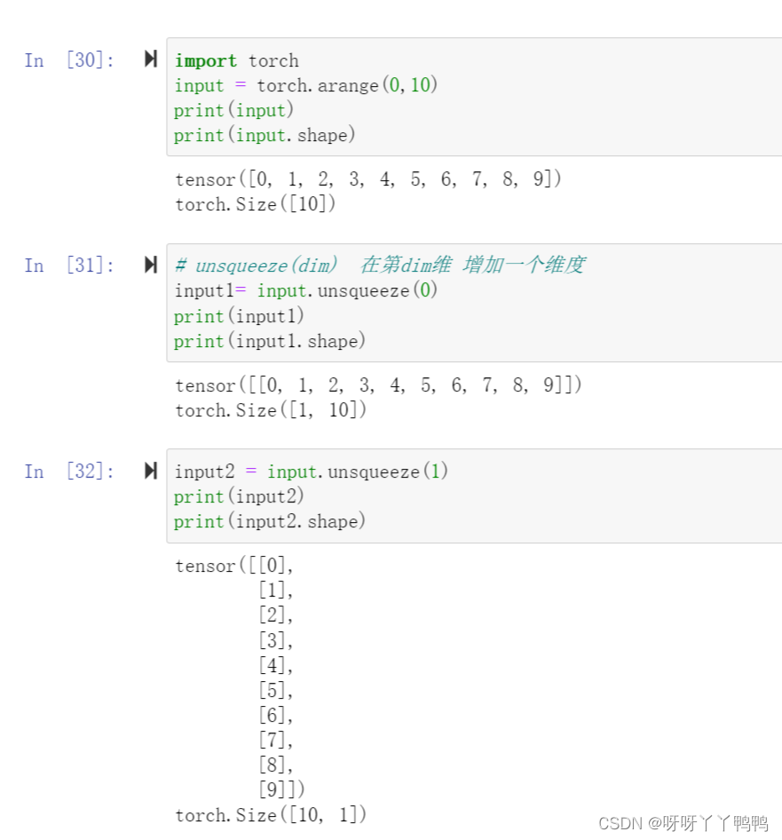 unsqueeze(dim)和squeeze(dim)_.squeeze(dim)-CSDN博客