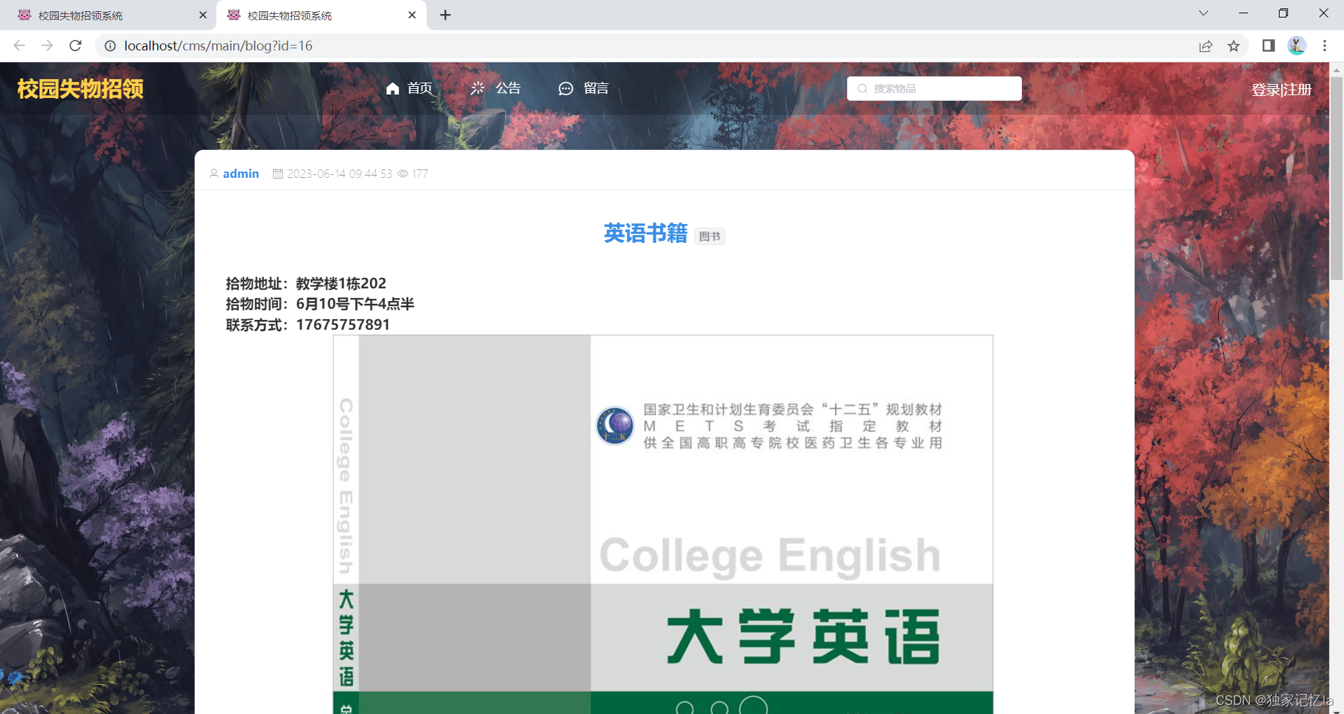 基于springbootvue校园失物招领系统,java毕业设计基于springboot校园失物招领管理系统应该做些什么 Csdn博客