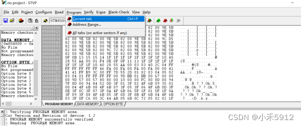 使用STVP烧录STM8的.hex文件_stvp烧录教程-CSDN博客