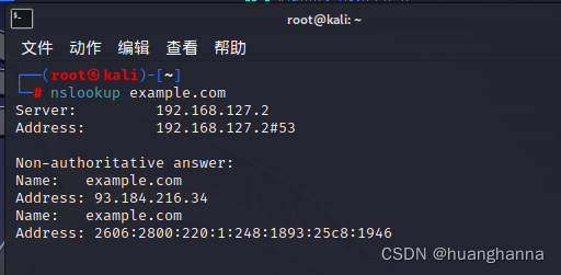 如何掌握kali linux中的nslookup_nslookup命令安装-CSDN博客