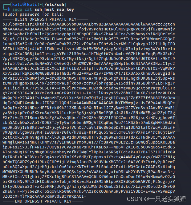 数字取证工作站搭建：The Sleuth Kit（TSK）Kali Linux搭建_kali电子取证环境搭建-CSDN博客