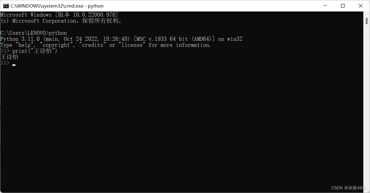 Python软件的安装 Csdn博客 