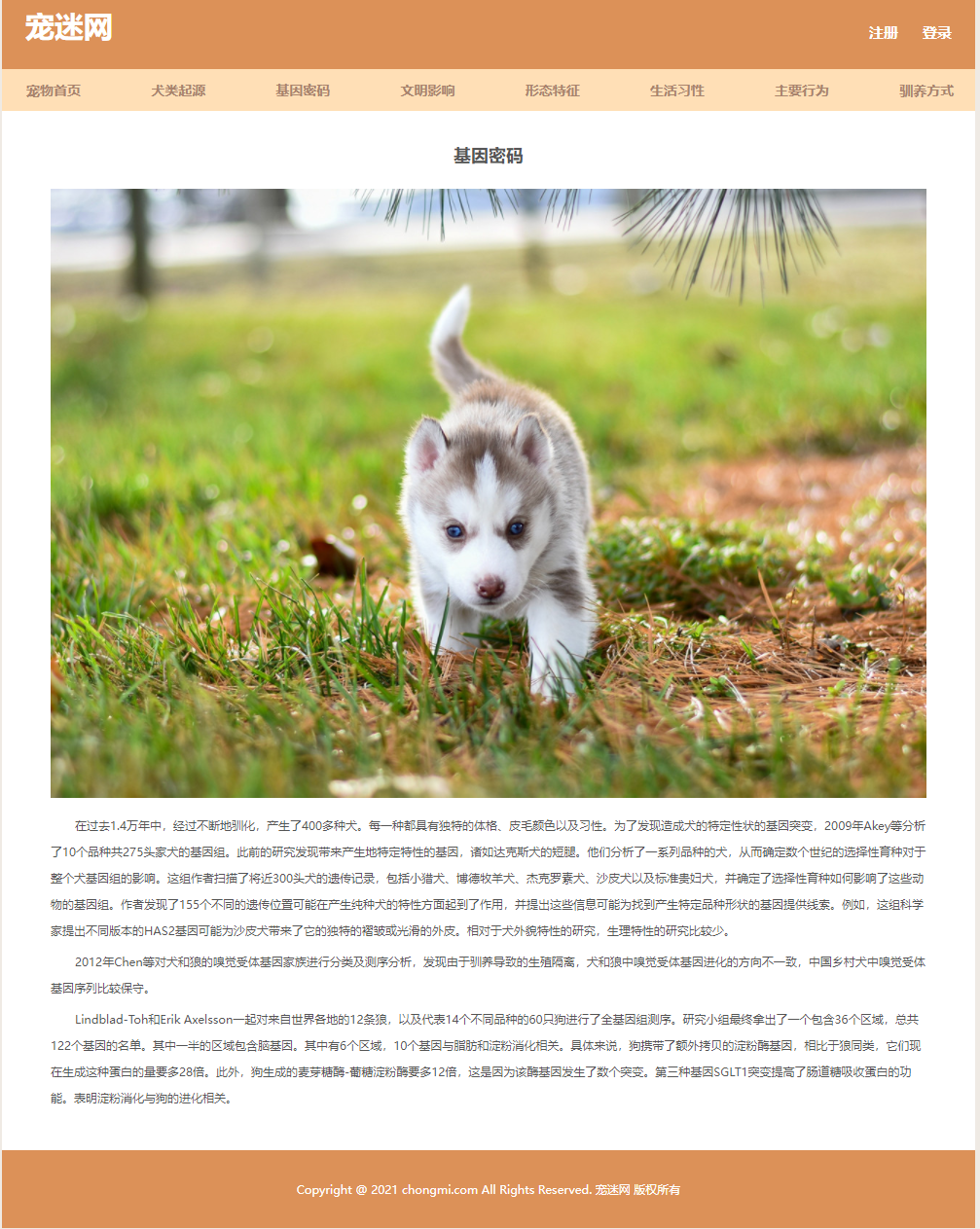 HTML5期末大作业：动物网站设计——宠物狗(10页) HTML+CSS+JavaScript 大学生静态网页设计 dw宠物网页设计 狗狗网页 ...