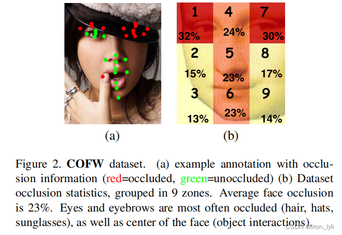 COFW数据集介绍以及代码读取-CSDN博客