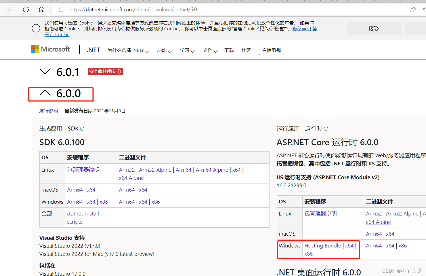 Abp项目（.net） 部署到服务端IIS 无法正常打开页面运行问题_abp net6-CSDN博客
