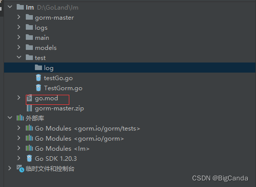 23422 Go学习日记dbautomigrate Csdn博客 