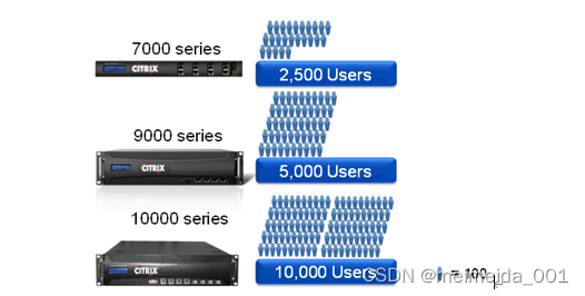 Citrix Access Gateway解决方案_citrix gateway-CSDN博客