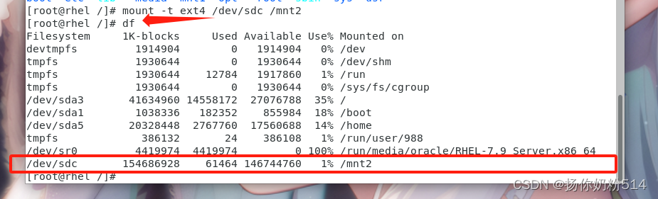 使用vm给redhat7.9扩充磁盘（附详细图文）_redhat 磁盘扩容-CSDN博客