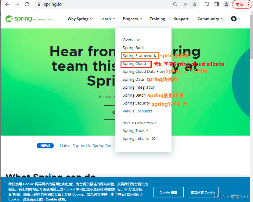 服务网关之Spring Cloud Gateway_spring-cloud-gateway-server-CSDN博客