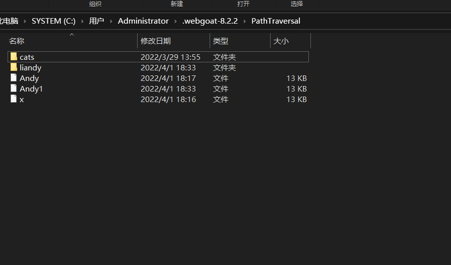第41天-JAVA安全-目录遍历访问控制XSS等安全问题_xss目录遍历代码-CSDN博客