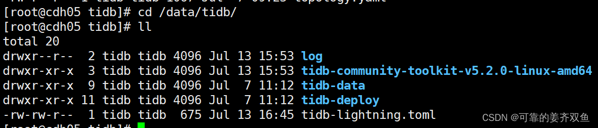 MySQL 数据迁移到 TiDB_mysql迁移到tidb-CSDN博客