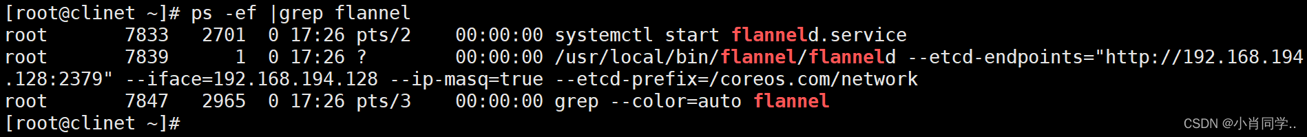 【云原生Docker】10-Docker网络-flannel介绍_docker flannel-CSDN博客