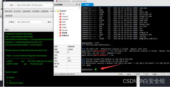 冰蝎利用免杀webshell链接,反弹shell(附免杀webshell和工具)冰蝎反弹shell Csdn博客
