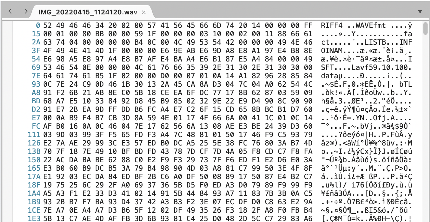 「数据压缩03」WAV及AVI的文件格式分析_wvavi-CSDN博客