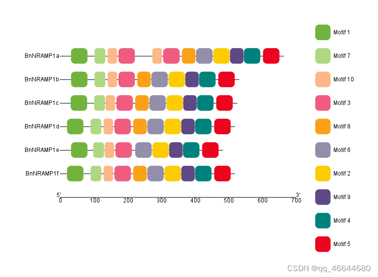 使用TBtools绘制motif_tbtools分析motif-CSDN博客