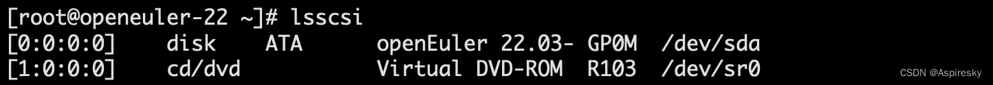 Linux Scsi子系统:基本介绍 Csdn博客